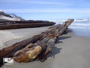 Outer Banks Shipwreck Uncovered | Sun Realty