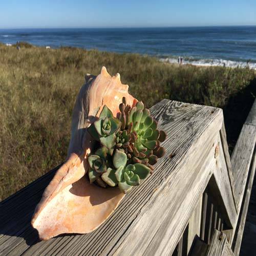 Turn your Outer Banks Treasures into Unique Gifts | Sun Realty